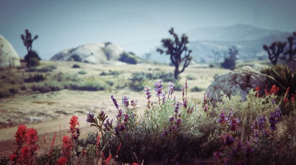Poze din Los Santos – GTA V Photography | victordima.net